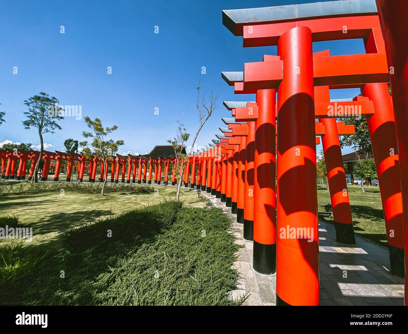 Hinoki land japan attraction in Chai Prakan District, Chiang Mai, Thailand, south East Asia ...