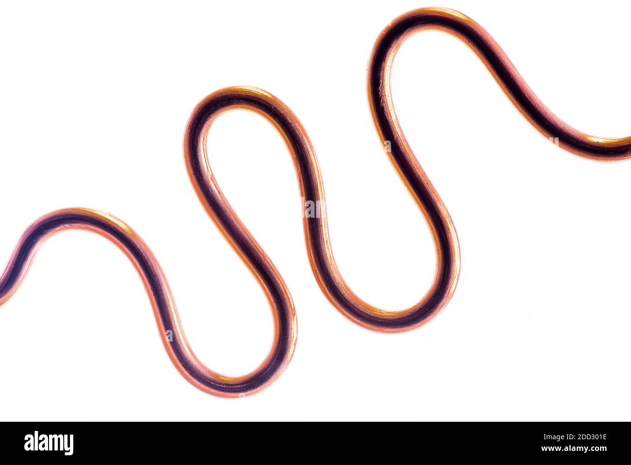 Pure Copper Wire Isolated on White Background Stock Photo - Alamy