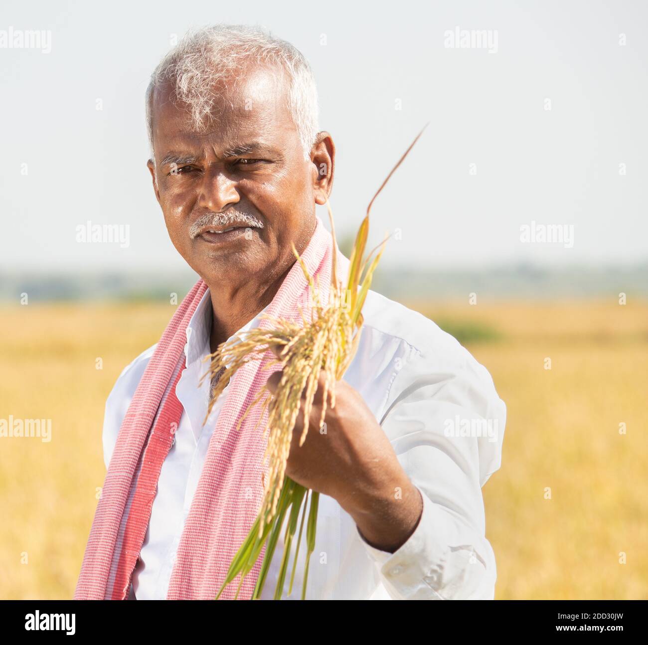 Indian monsoon agriculture hi-res stock photography and images - Alamy
