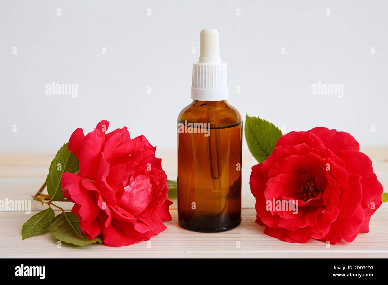 Pink aromatic rose hi-res stock photography and images - Alamy