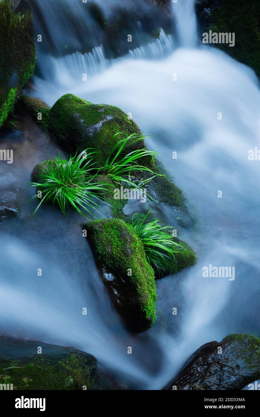 Clear spring stone upper Stock Photo - Alamy