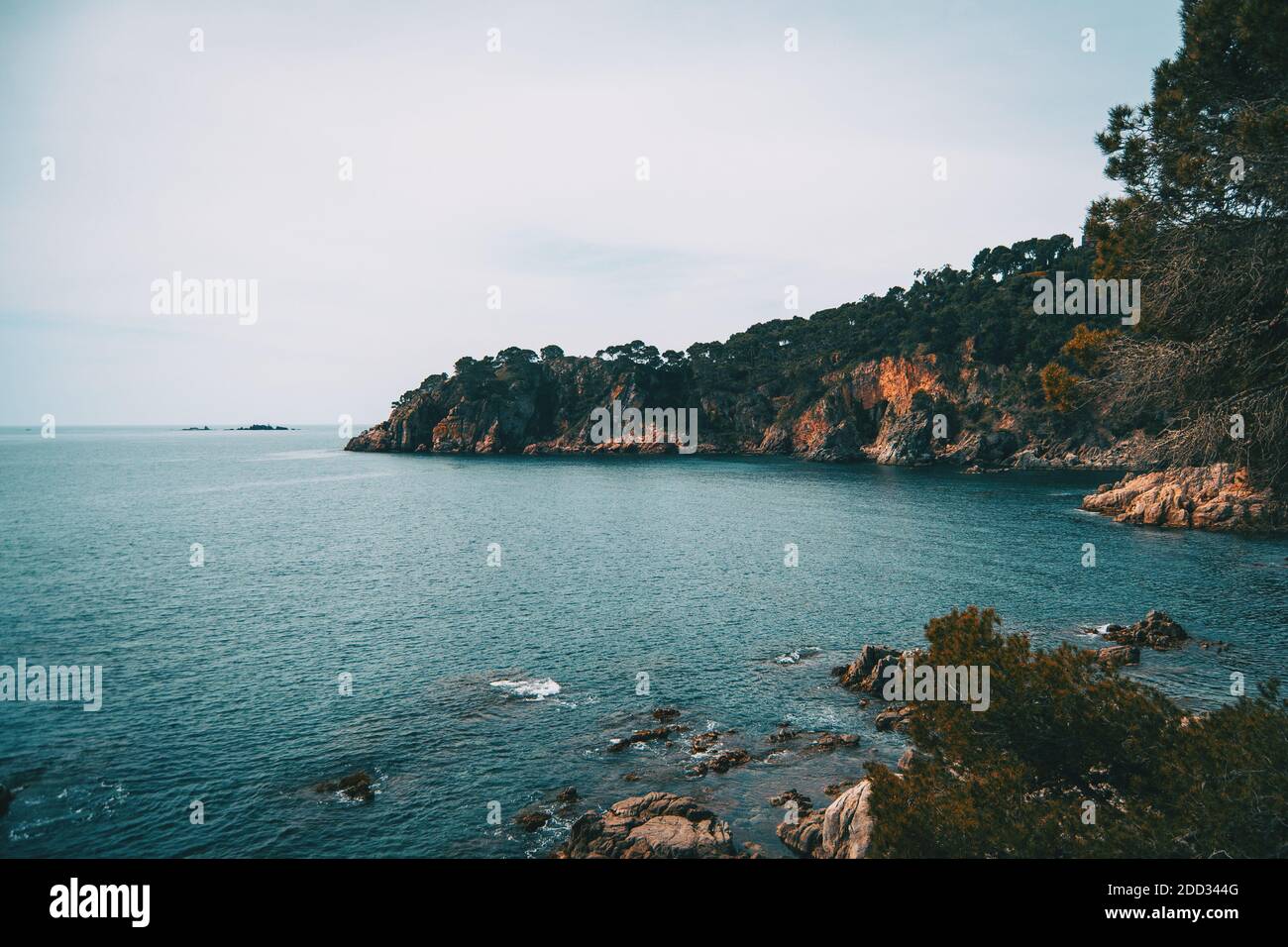 Landscape of an abrupt breakwater full of trees in the sea Stock Photo ...