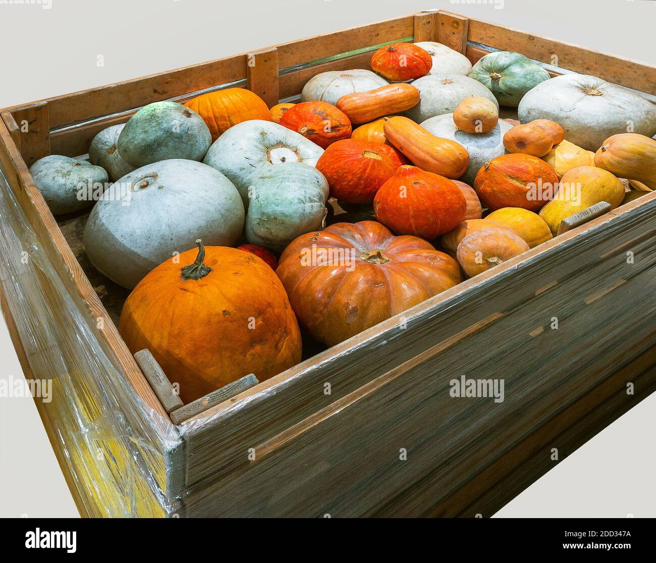 assorted pumpkins in crate, isolated Stock Photo - Alamy