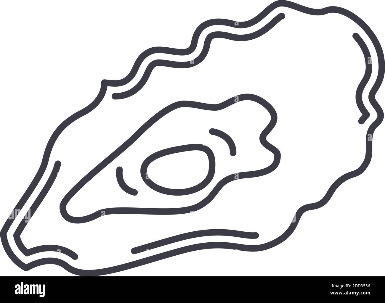 Oyster illustration Cut Out Stock Images & Pictures - Alamy