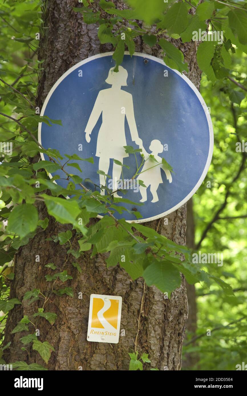 Rhine sidewalk hi-res stock photography and images - Alamy