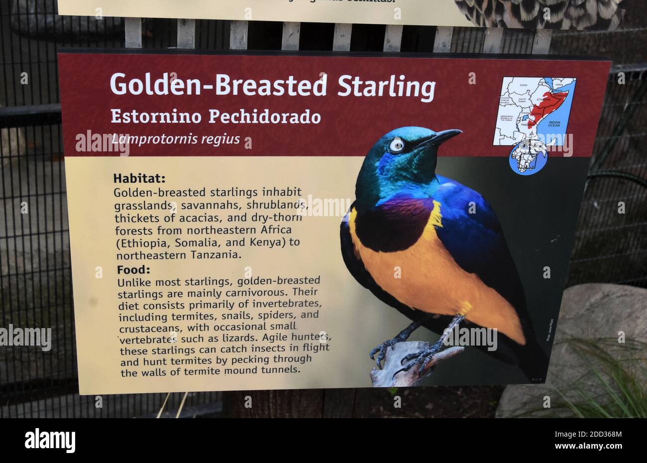 Los Angeles, California, USA 5th November 2020 A general view of ...