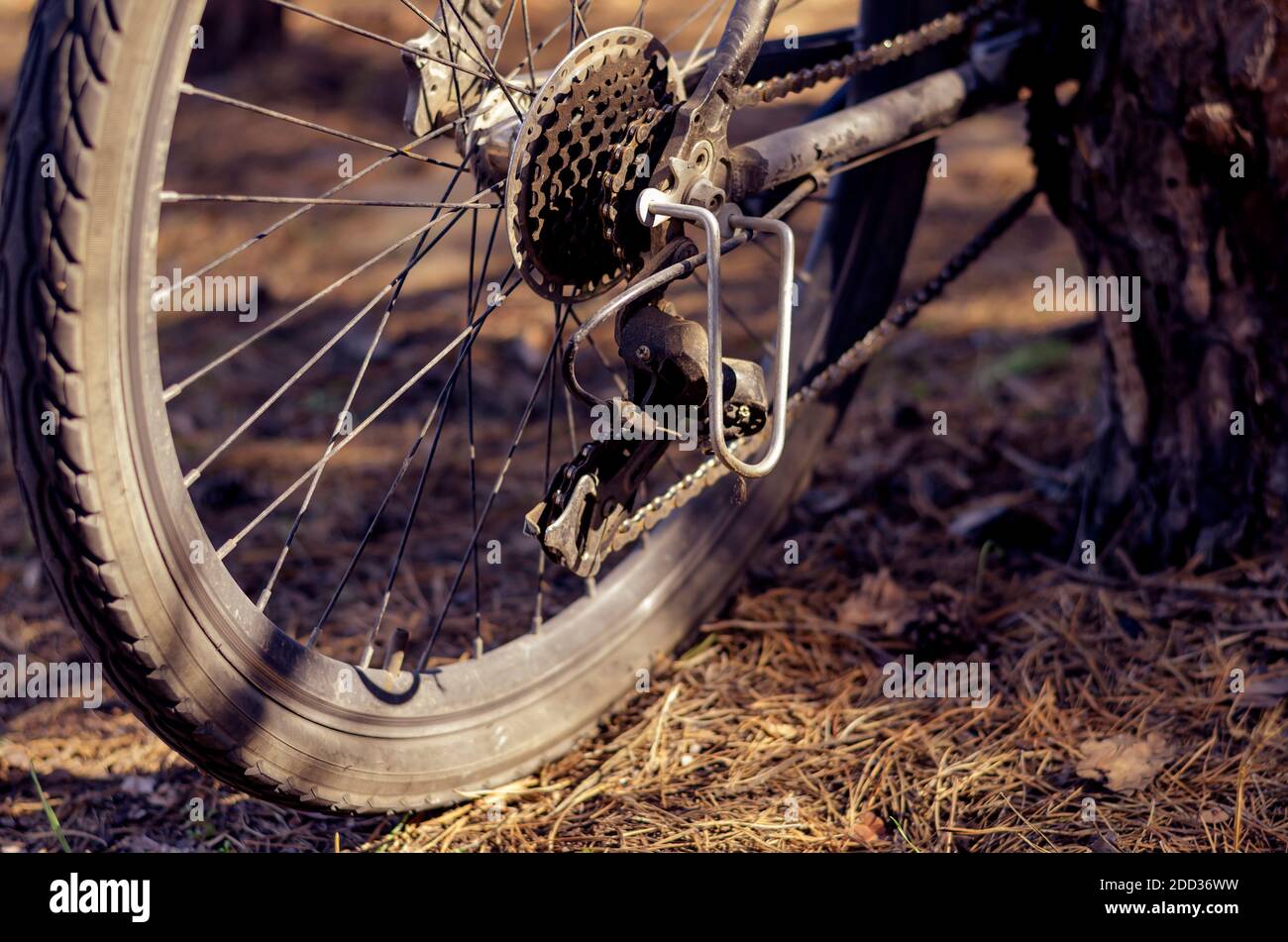 Bike footstep hi-res stock photography and images - Alamy