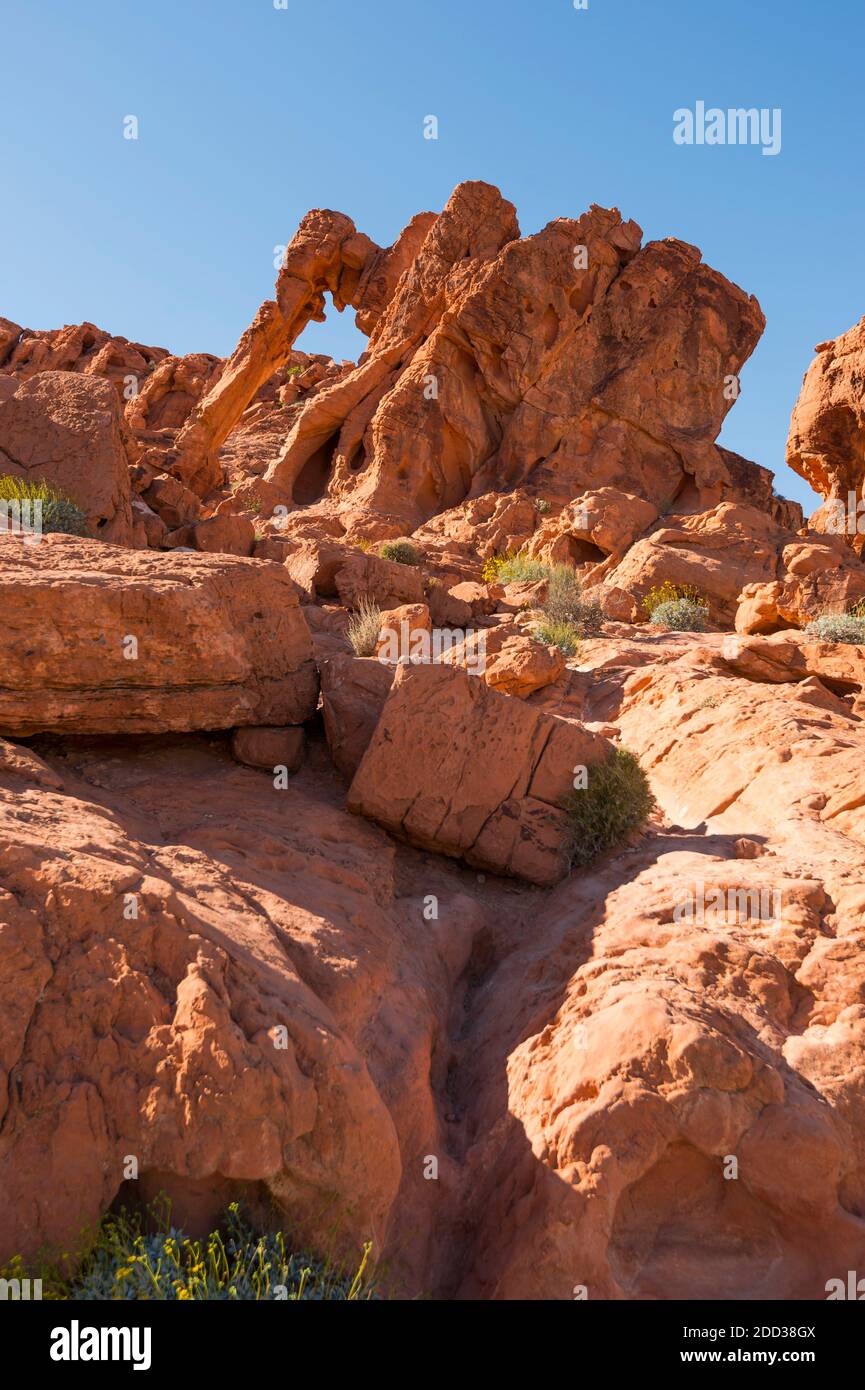 Elephant rock formation hi-res stock photography and images - Alamy