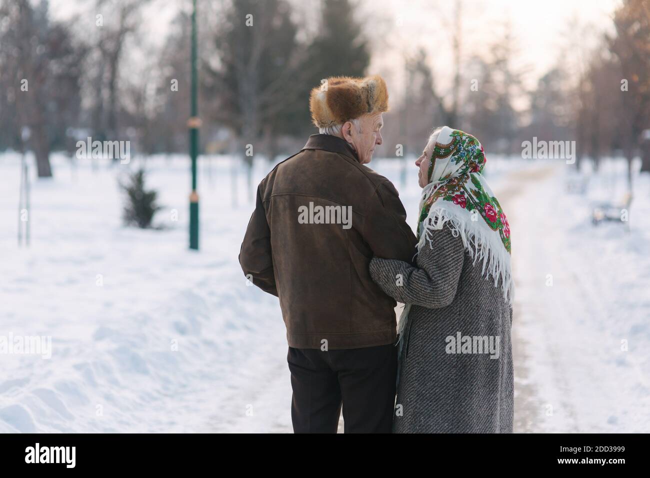 Back view of elderly couple walking in the park. Happy old people ...
