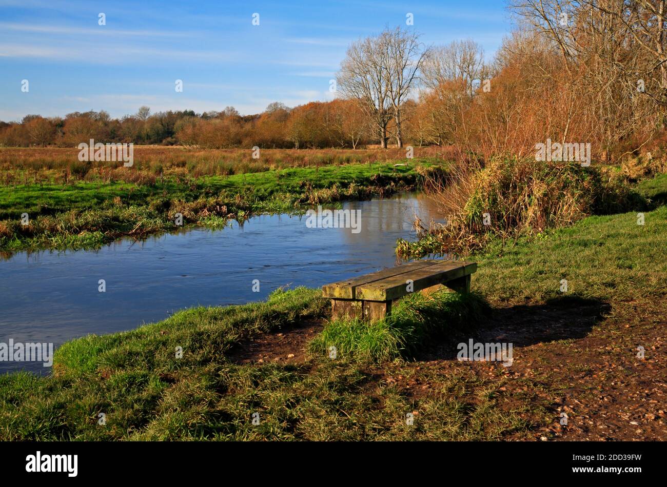 Marsh norwich hi-res stock photography and images - Alamy