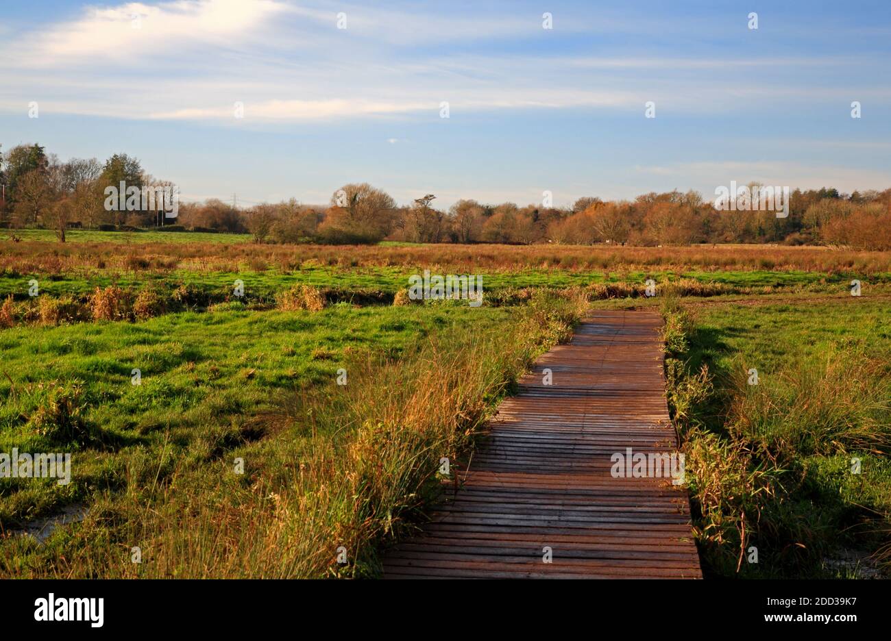 Marston marsh hi-res stock photography and images - Alamy