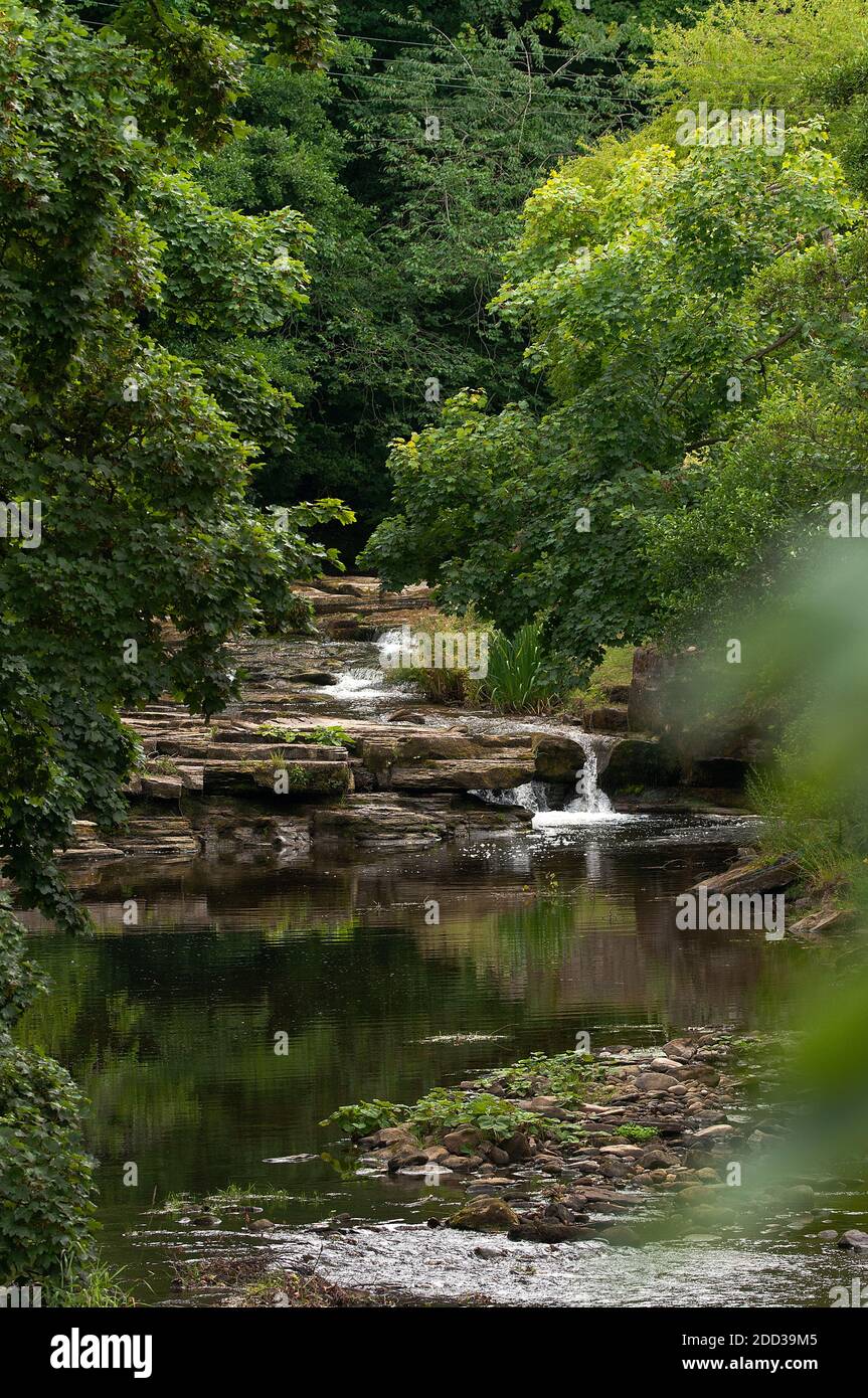 Devil's Water, Dilston Falls near Corbridge, Northumberland Stock Photo ...