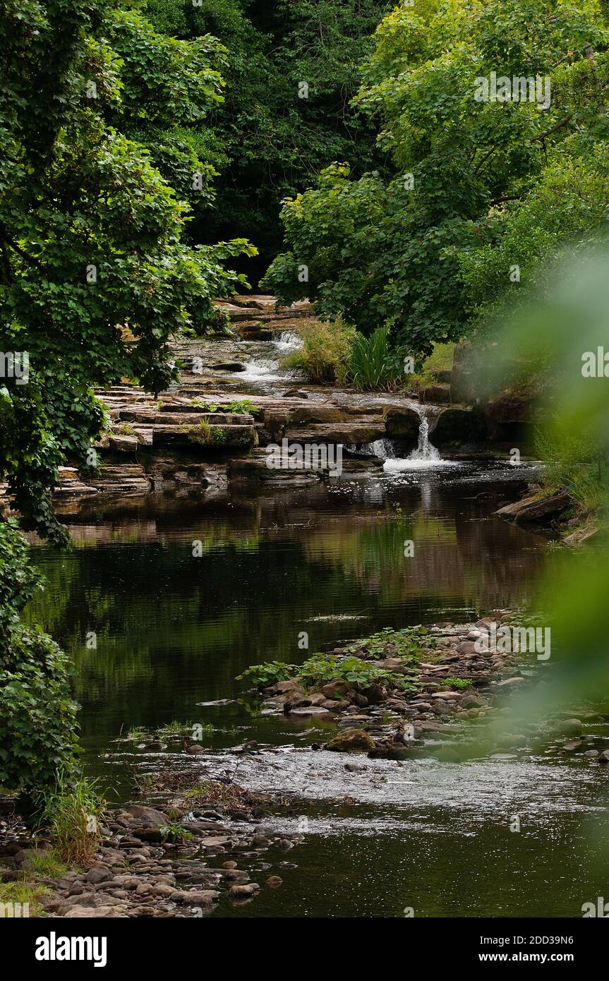 Devil's Water, Dilston Falls near Corbridge, Northumberland Stock Photo ...