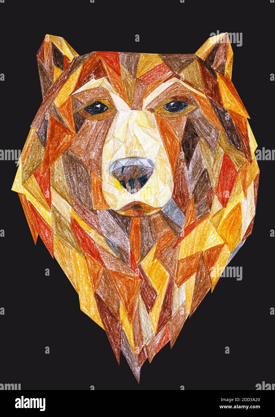 Hand drawing bear by color pencils on dark background. Bright light ...
