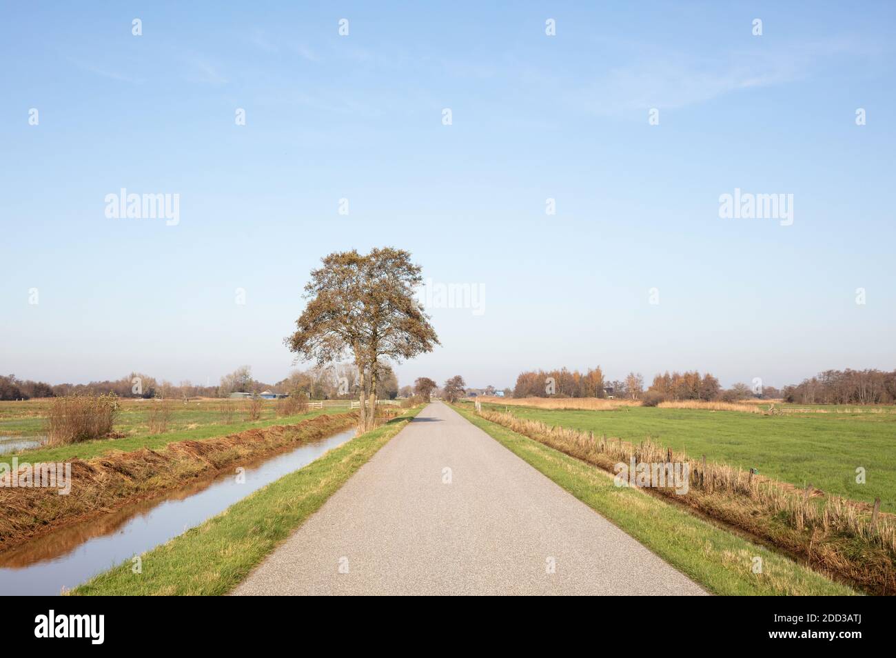 Simple small road in the dutch landscape (Friesland Stock Photo - Alamy