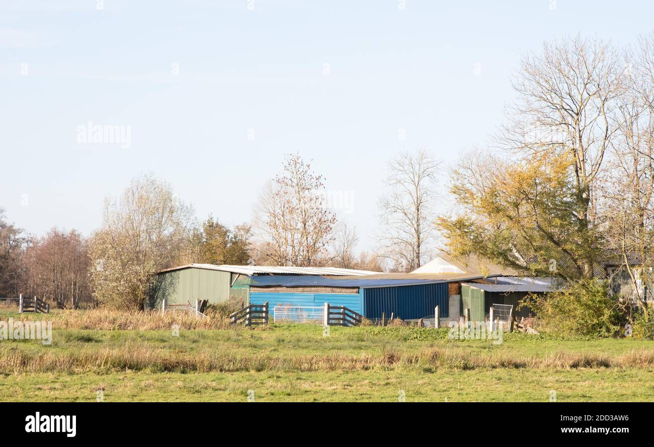 Simple wooden buildings at a dutch farm, typical dutch landscape Stock ...