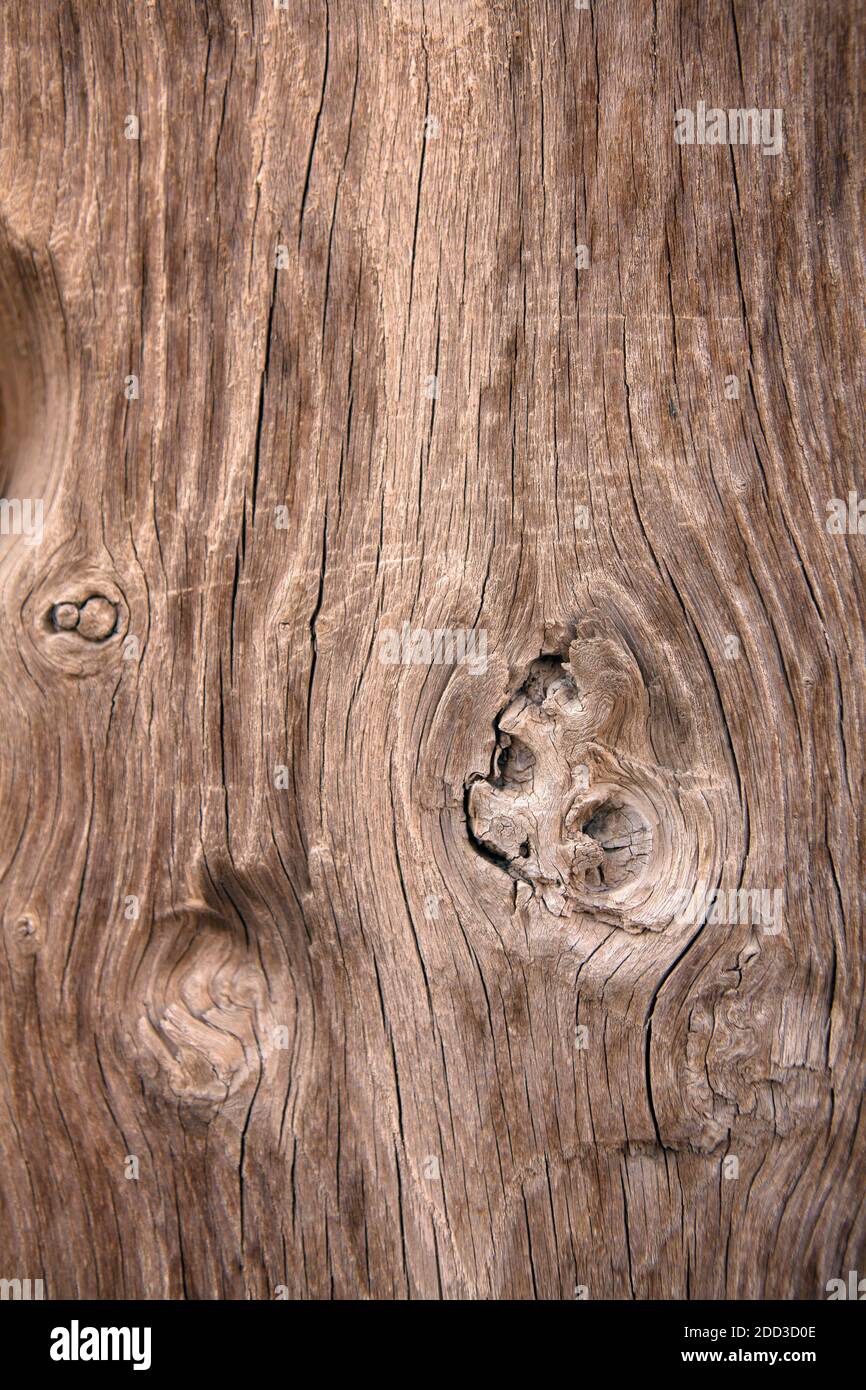 Real textures of old wood background Stock Photo - Alamy