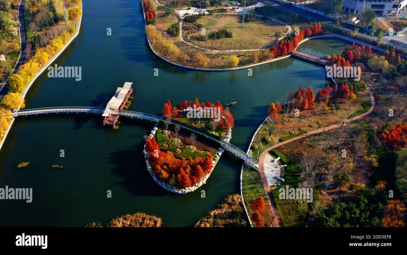 Yantai, Yantai, China. 24th Nov, 2020. Shandong, CHINA-Early winter is ...