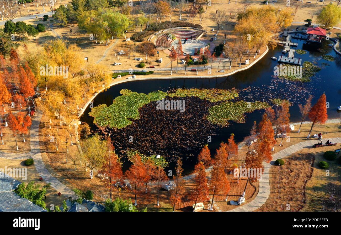 Yantai, Yantai, China. 24th Nov, 2020. Shandong, CHINA-Early winter is ...