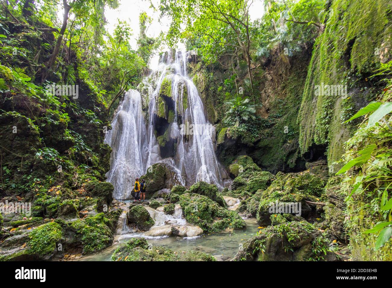 A beautiful waterfall in the forests of Bicol, Philippines Stock Photo ...