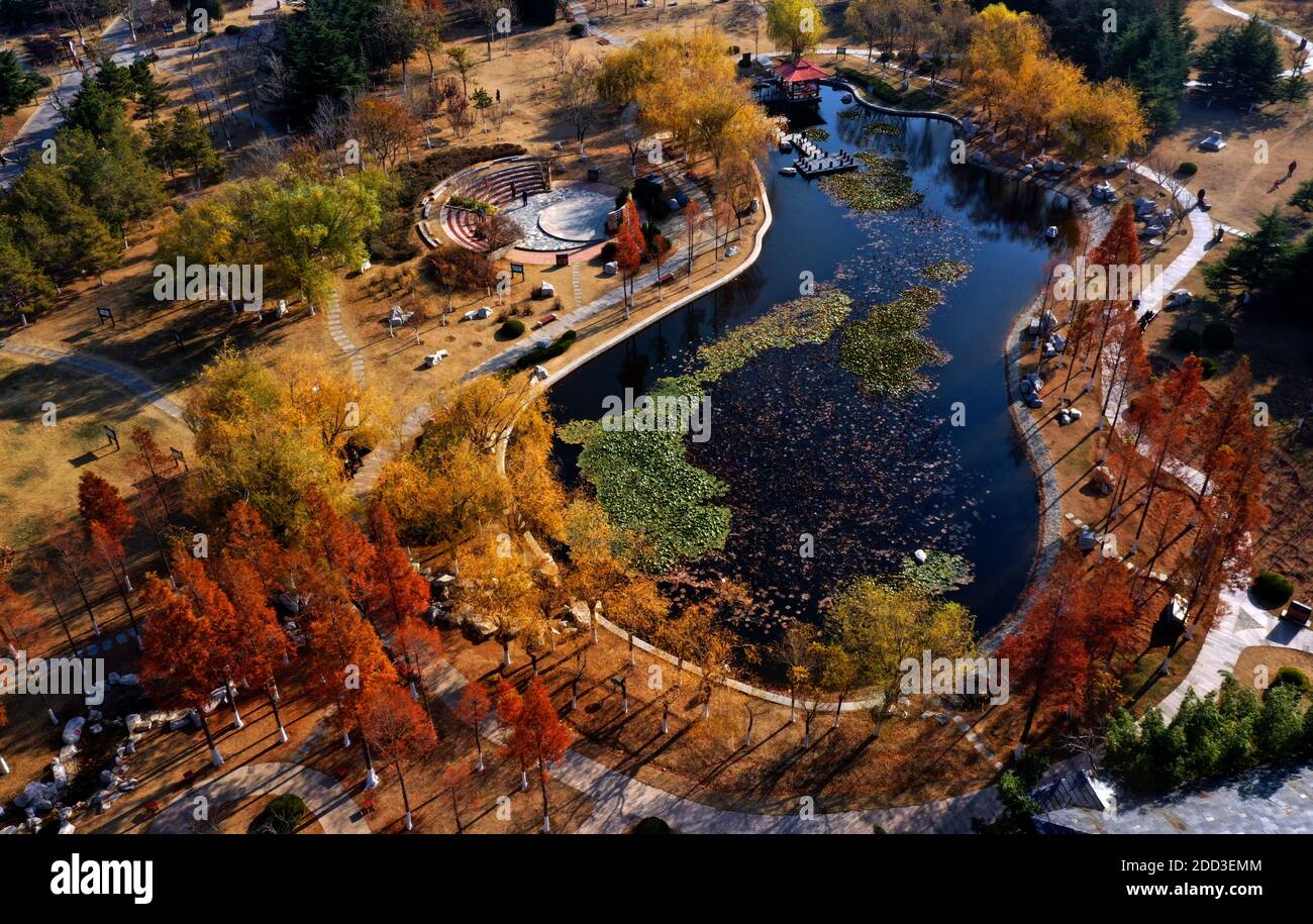 Yantai, Yantai, China. 24th Nov, 2020. Shandong, CHINA-Early winter is ...