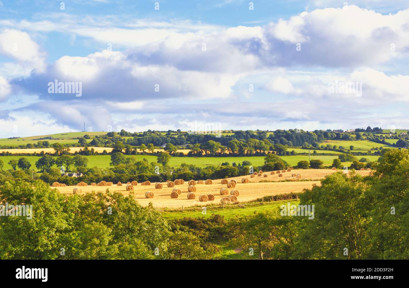 Hay rolls ireland hi-res stock photography and images - Alamy