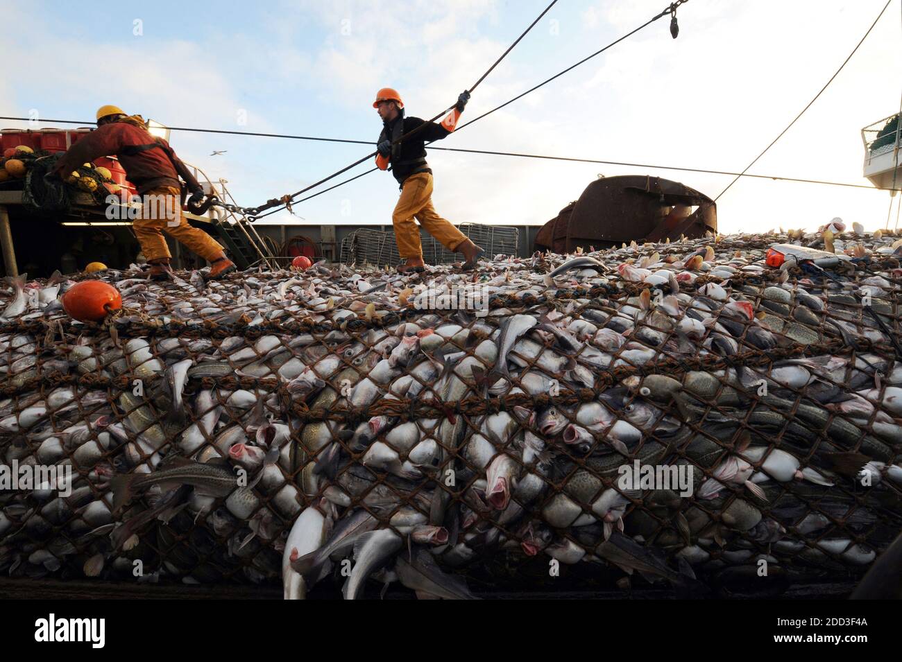 Deep-sea fishing in the Norwegian Sea on board the trawler “Grande ...