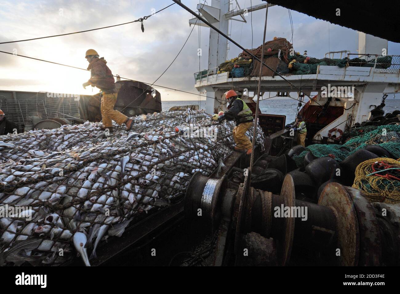 Deep-sea fishing in the Norwegian Sea on board the trawler “Grande ...