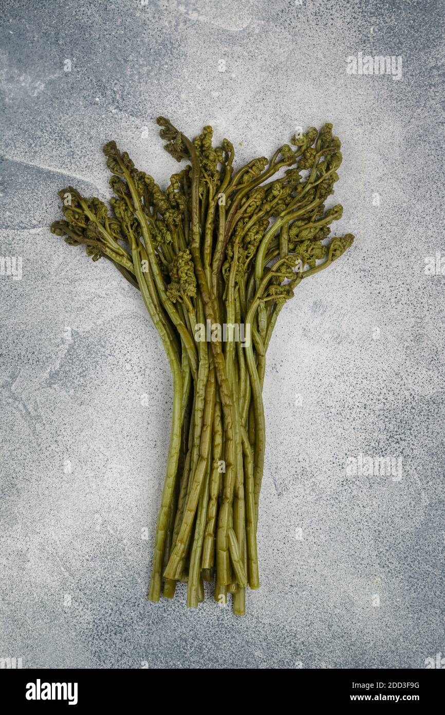 Salted shoots of the bracken fern on a concrete background. An ...