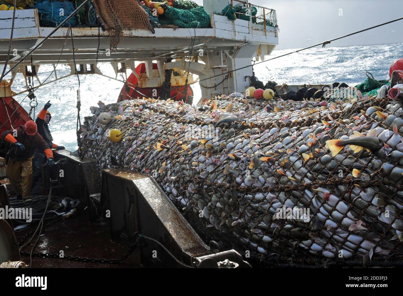 Deep-sea fishing in the Norwegian Sea on board the trawler “Grande ...