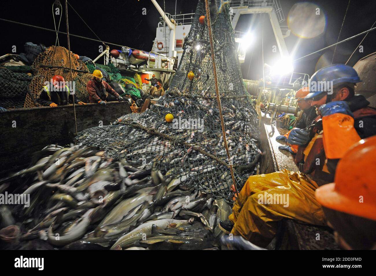 Deep-sea fishing in the Norwegian Sea on board the trawler “Grande ...