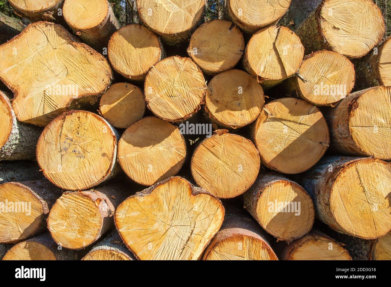 Sawn timber in a pile Stock Photo - Alamy