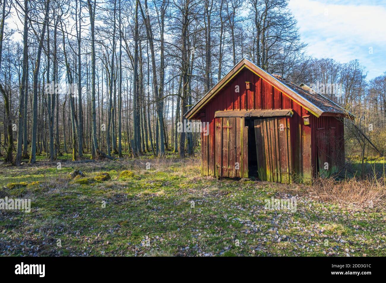 Weathered old shed on a meadow in the forest Stock Photo - Alamy