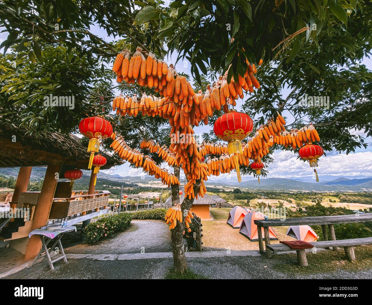 Yun Lai Viewpoint in Pai, Mae hong Son, Chiang Mai, Thailand. High ...