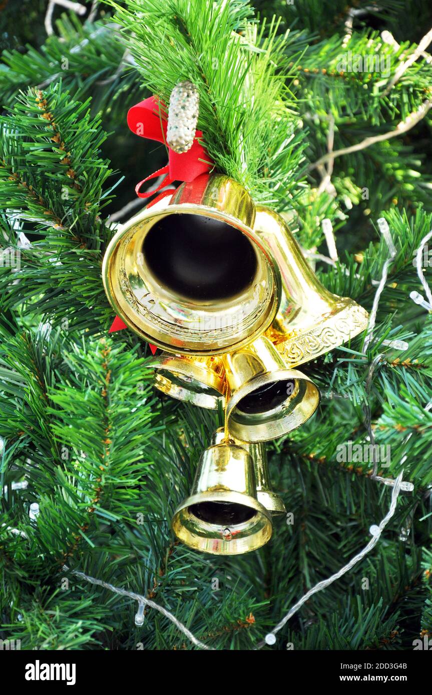 Golden bell tree hi-res stock photography and images - Alamy