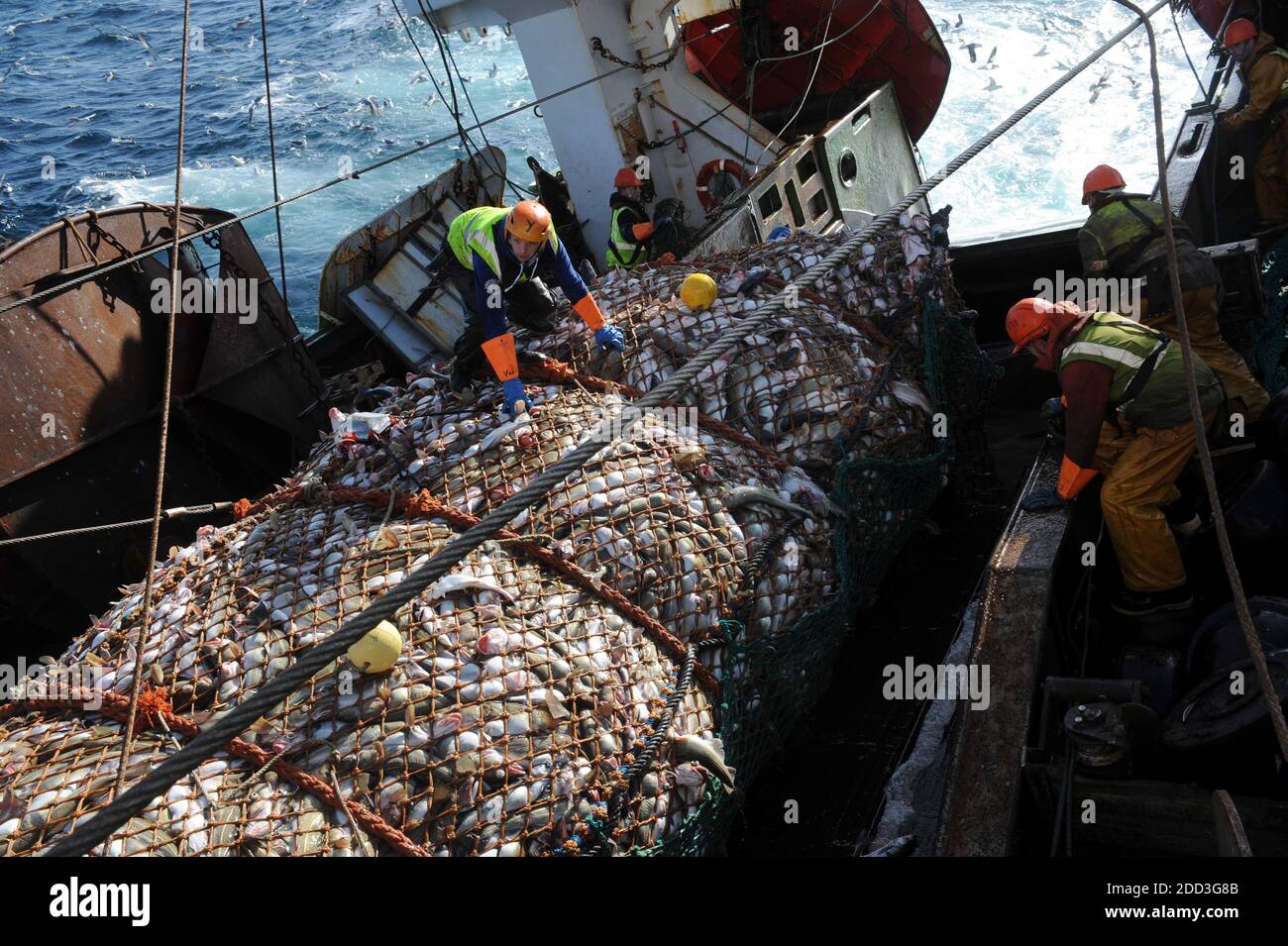 Deep-sea fishing in the Norwegian Sea on board the trawler “Grande ...