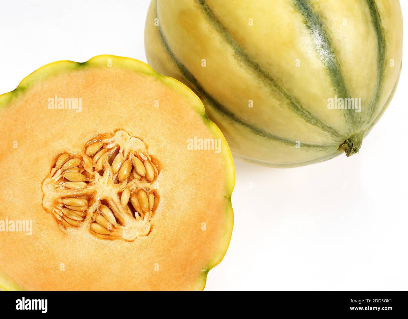 Cavaillon Melon, cucumis melo, Fruit against White Background Stock ...