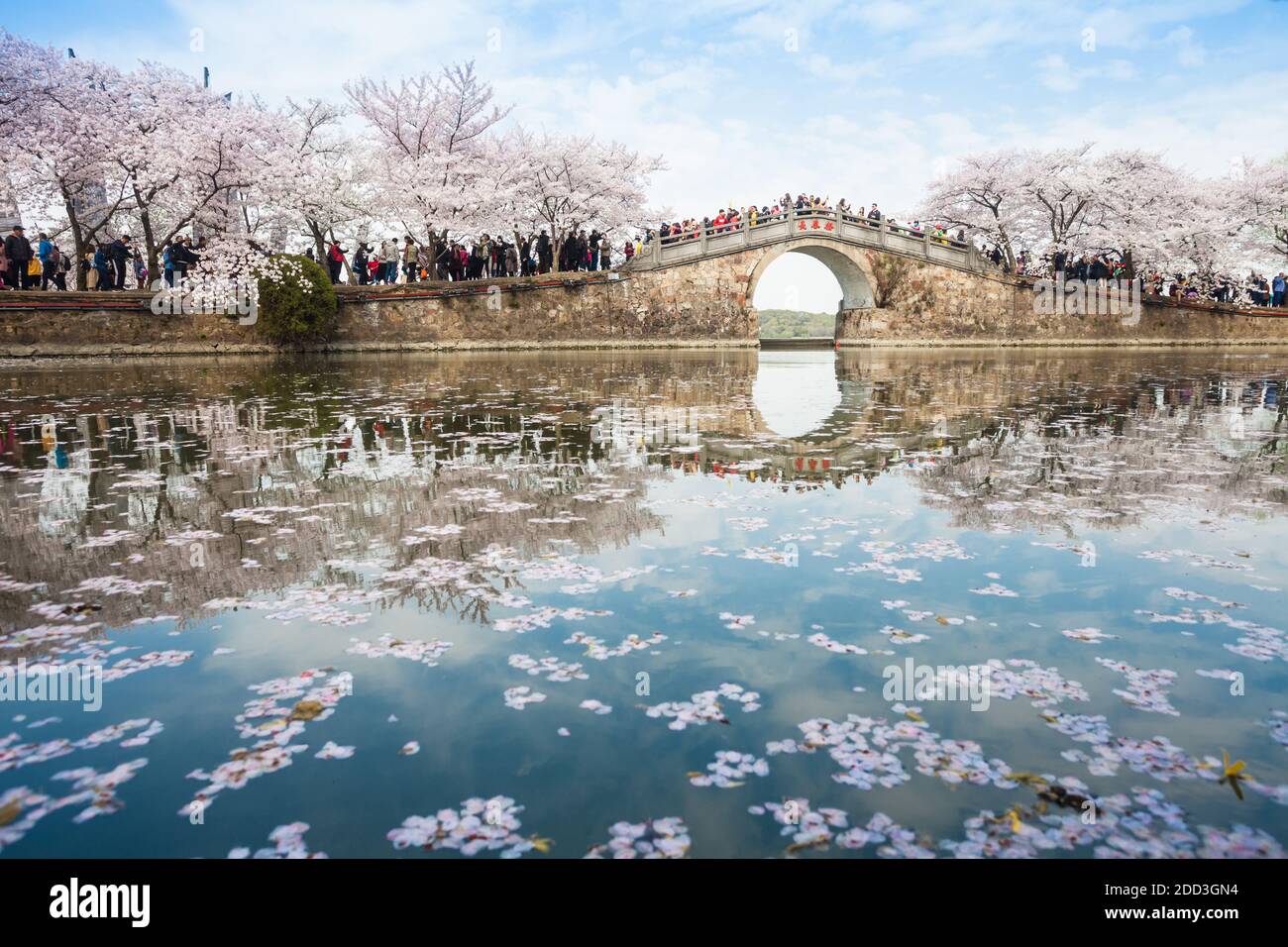 Jiangnan famous scenic spot - the turtle head isle Stock Photo - Alamy