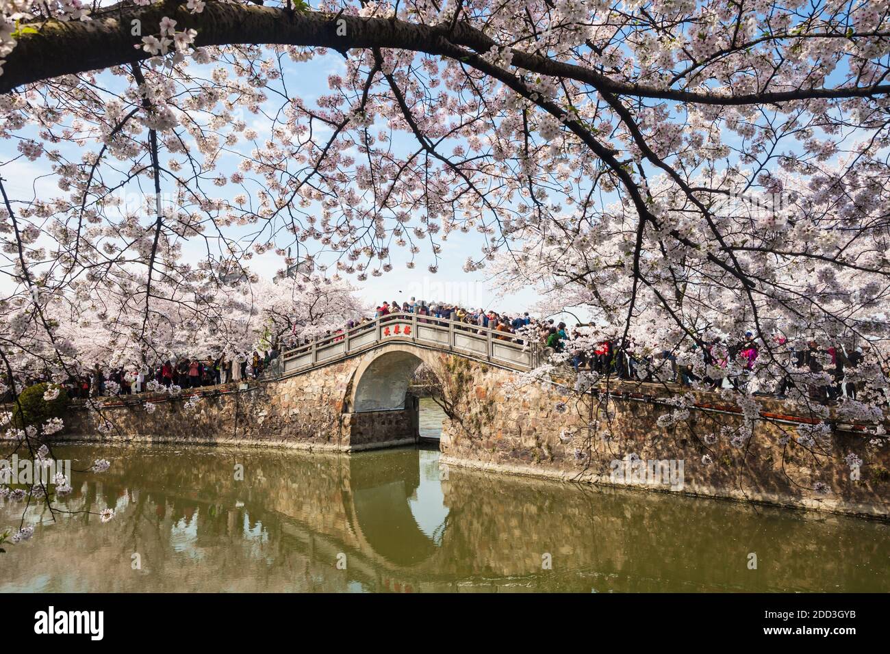 Jiangnan famous scenic spot - the turtle head isle Stock Photo - Alamy