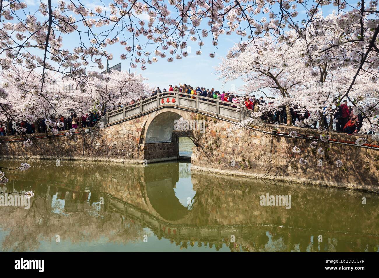 Jiangnan famous scenic spot - the turtle head isle Stock Photo - Alamy