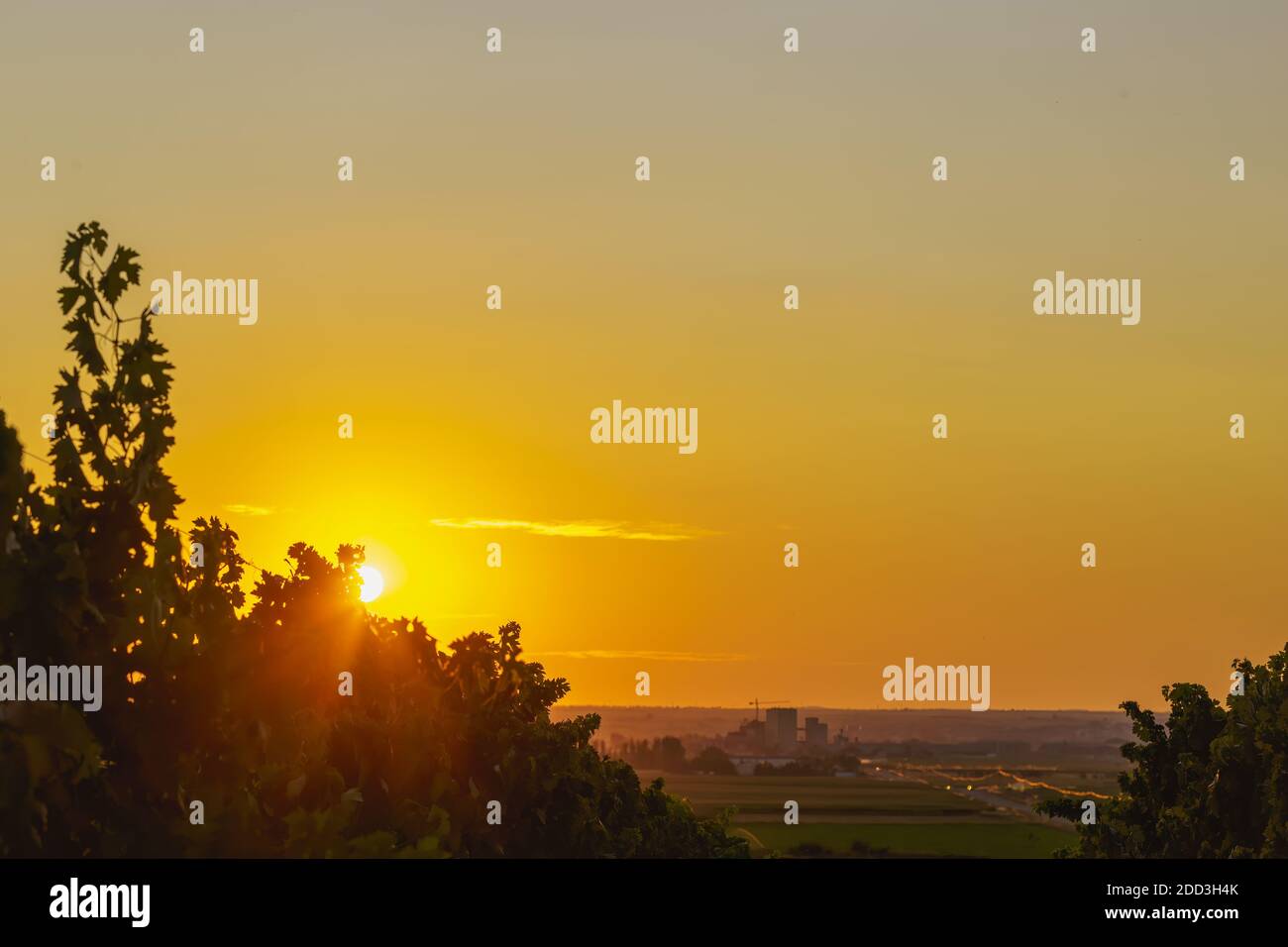 Spain spring wine region hi-res stock photography and images - Alamy