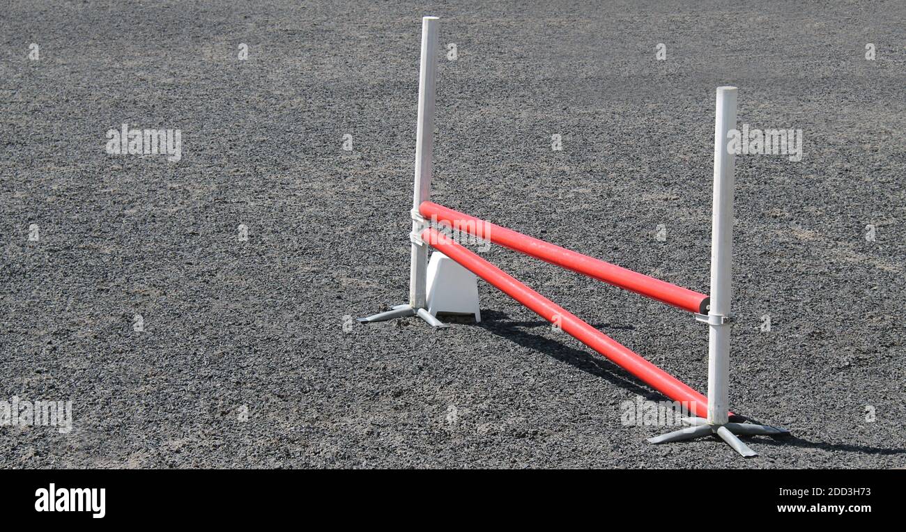 Simple horse hi-res stock photography and images - Alamy