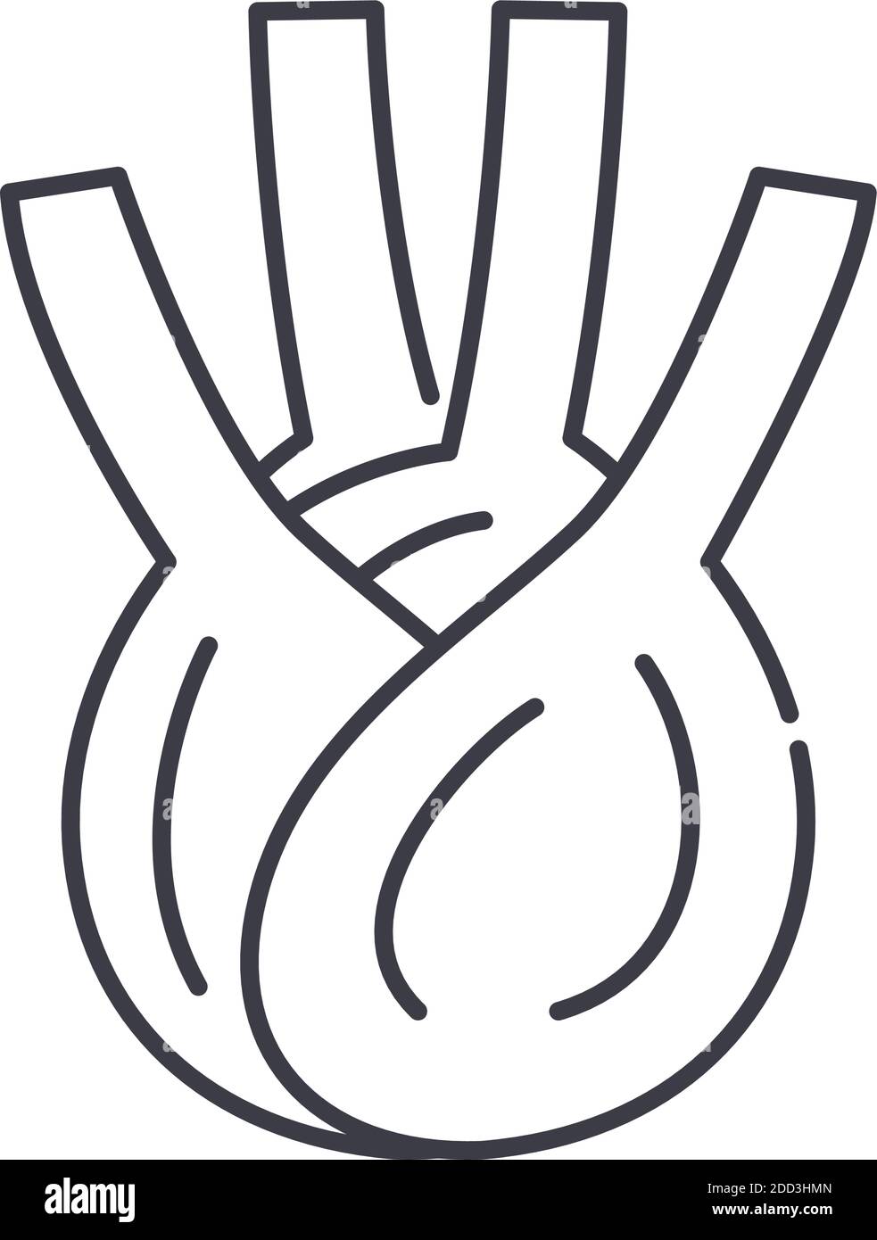Fennel icon, linear isolated illustration, thin line vector, web design ...