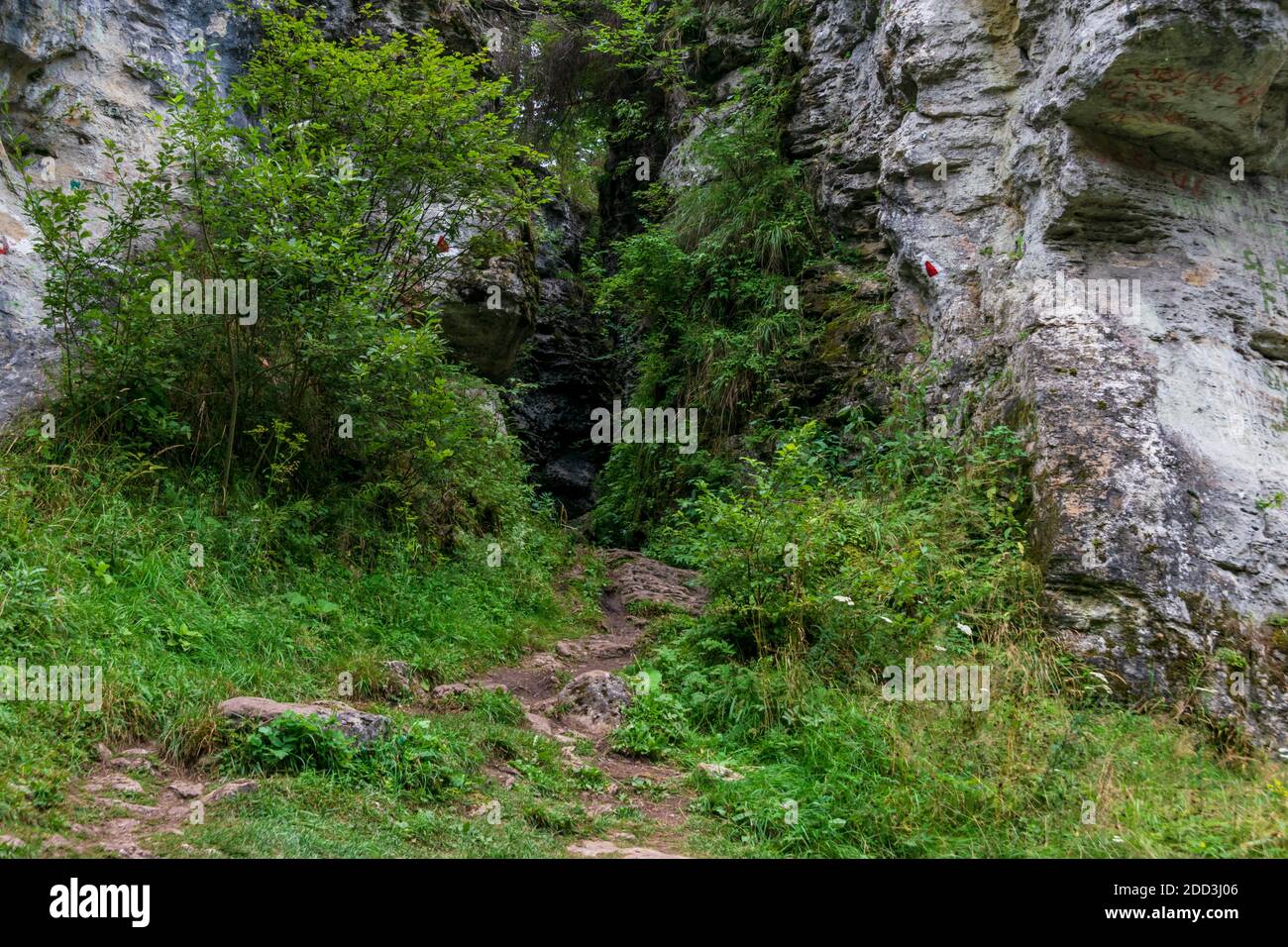 Bears' cave entrance, Fairies Garden, Borsec, Romania Stock Photo - Alamy