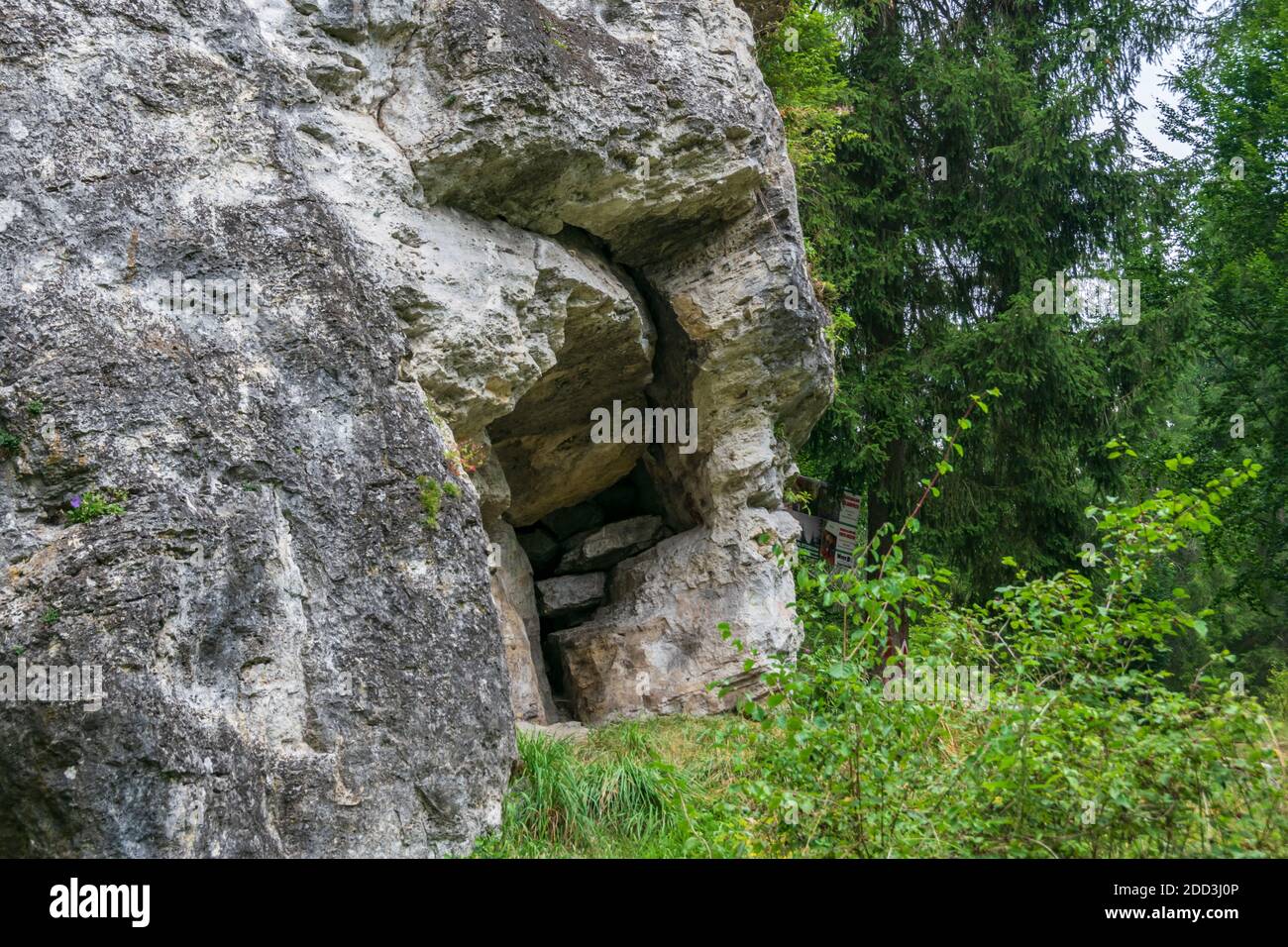 Bear cave romania hi-res stock photography and images - Alamy