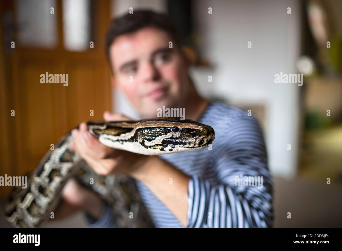Pet snake hi-res stock photography and images - Alamy