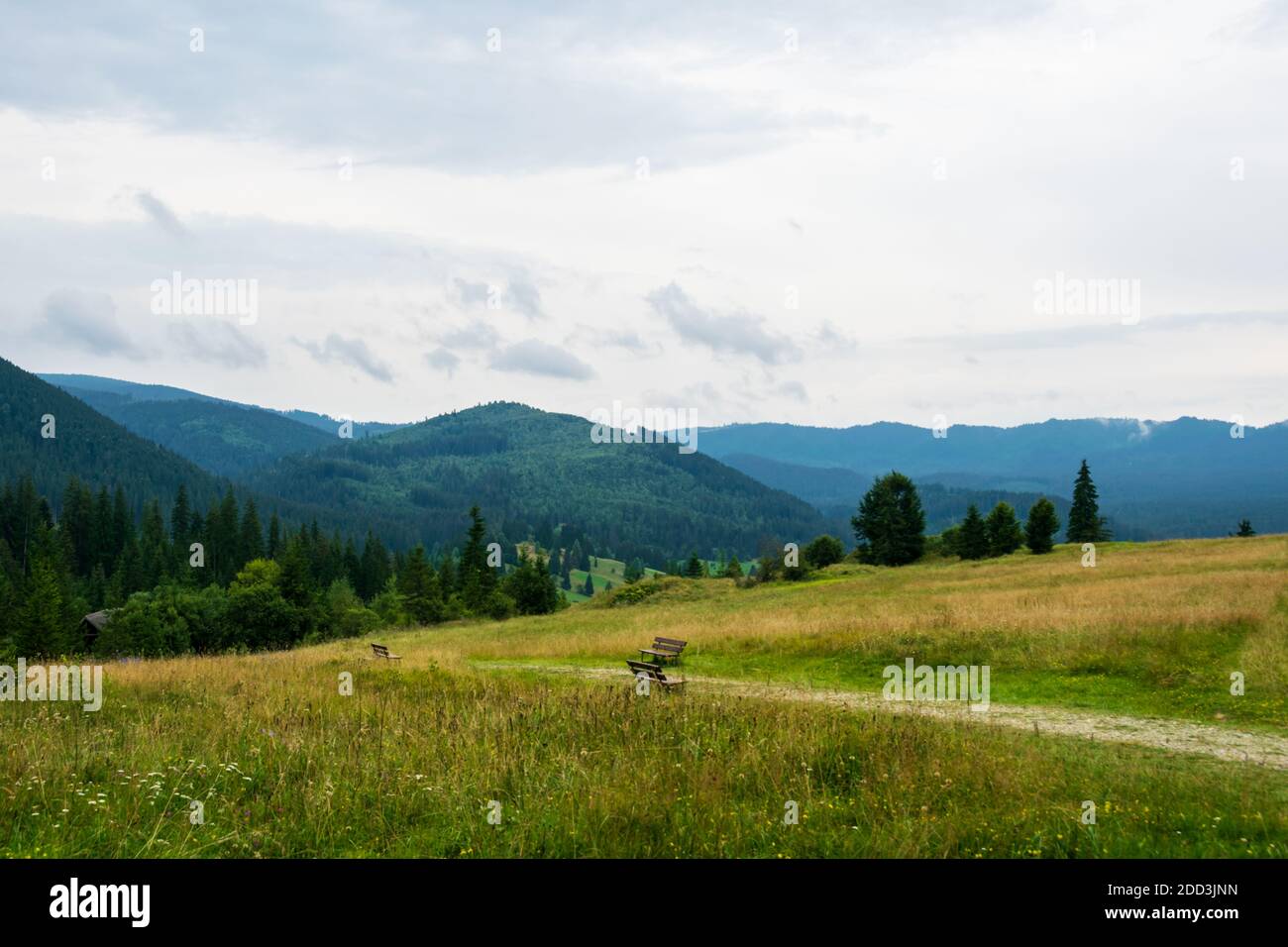 Mountains view as seen from the entrance in fairy glade, Borsec ...
