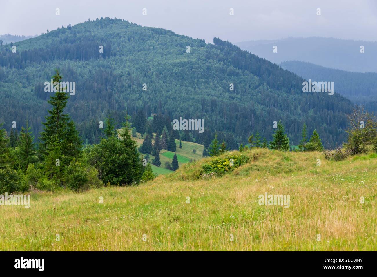 Mountains view as seen from the entrance in fairies garden, Borsec ...