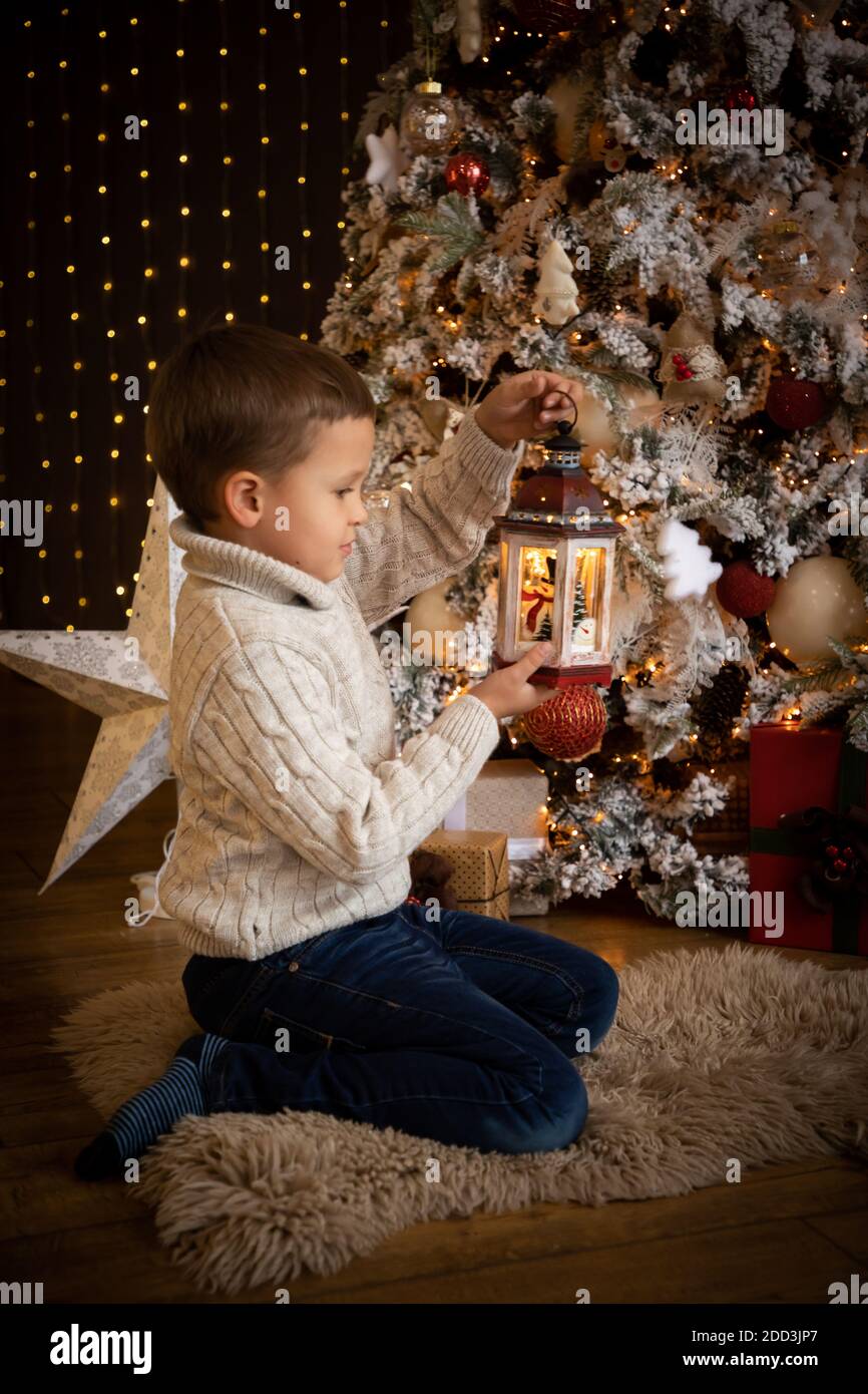 Boy near tree hi-res stock photography and images - Alamy