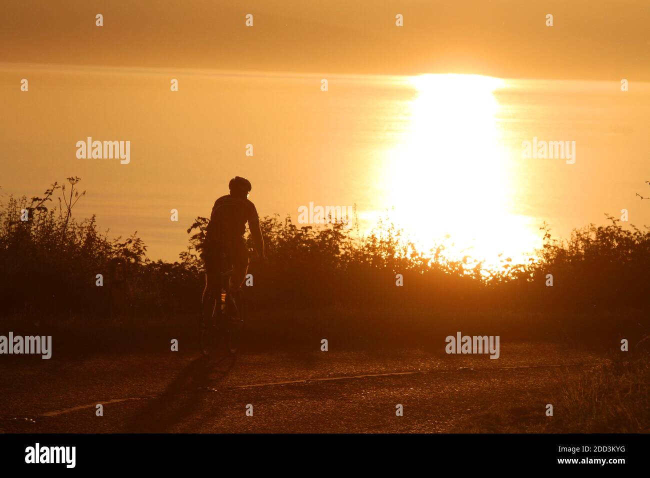 Dunure, Ayrshire, A cyclist on curved road, cycles into a curve as a ...